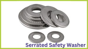 A Comprehensive Guide to Spring Washer Types